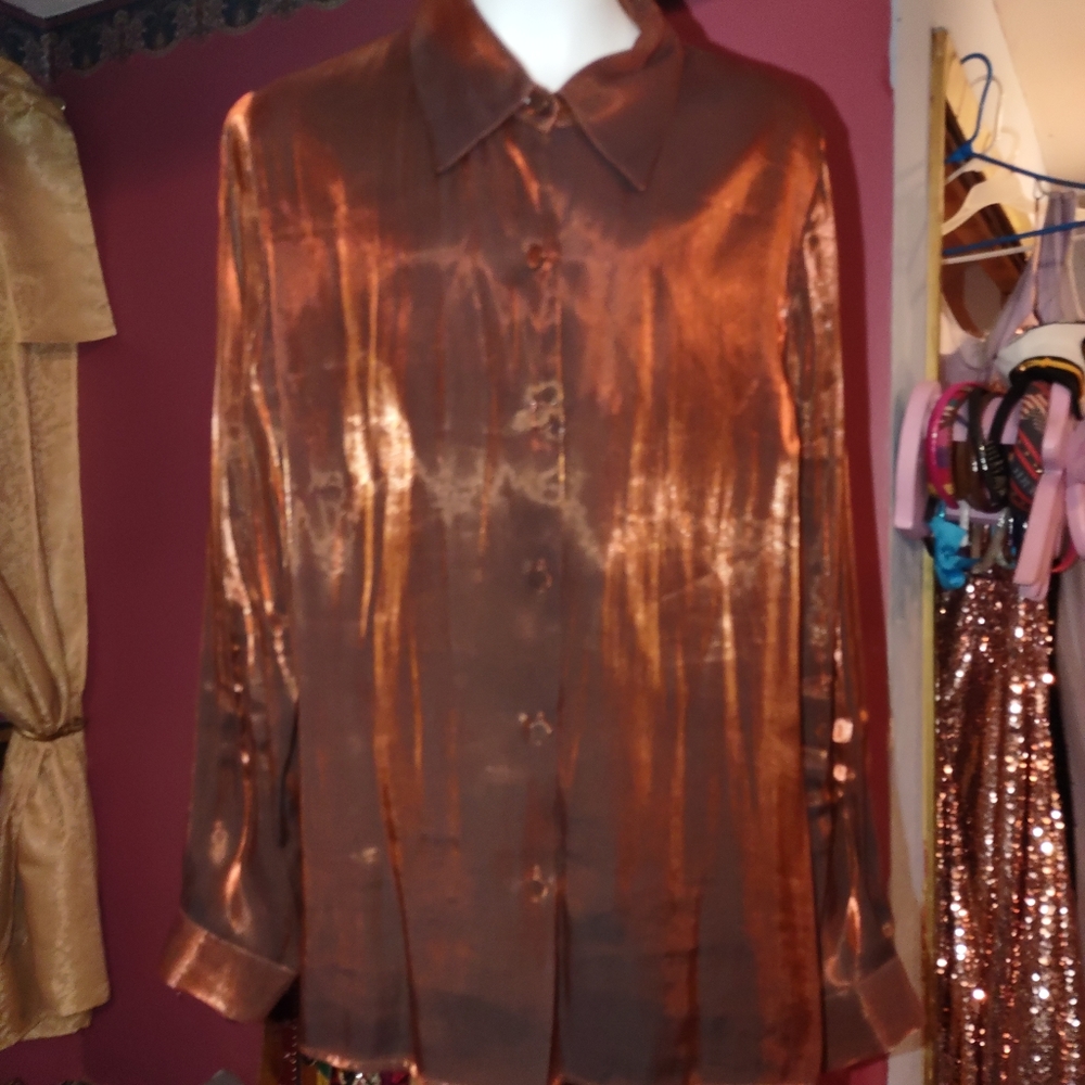 Christie & Jill Vintage Iridescent Bronze Blouse 10 - Gem